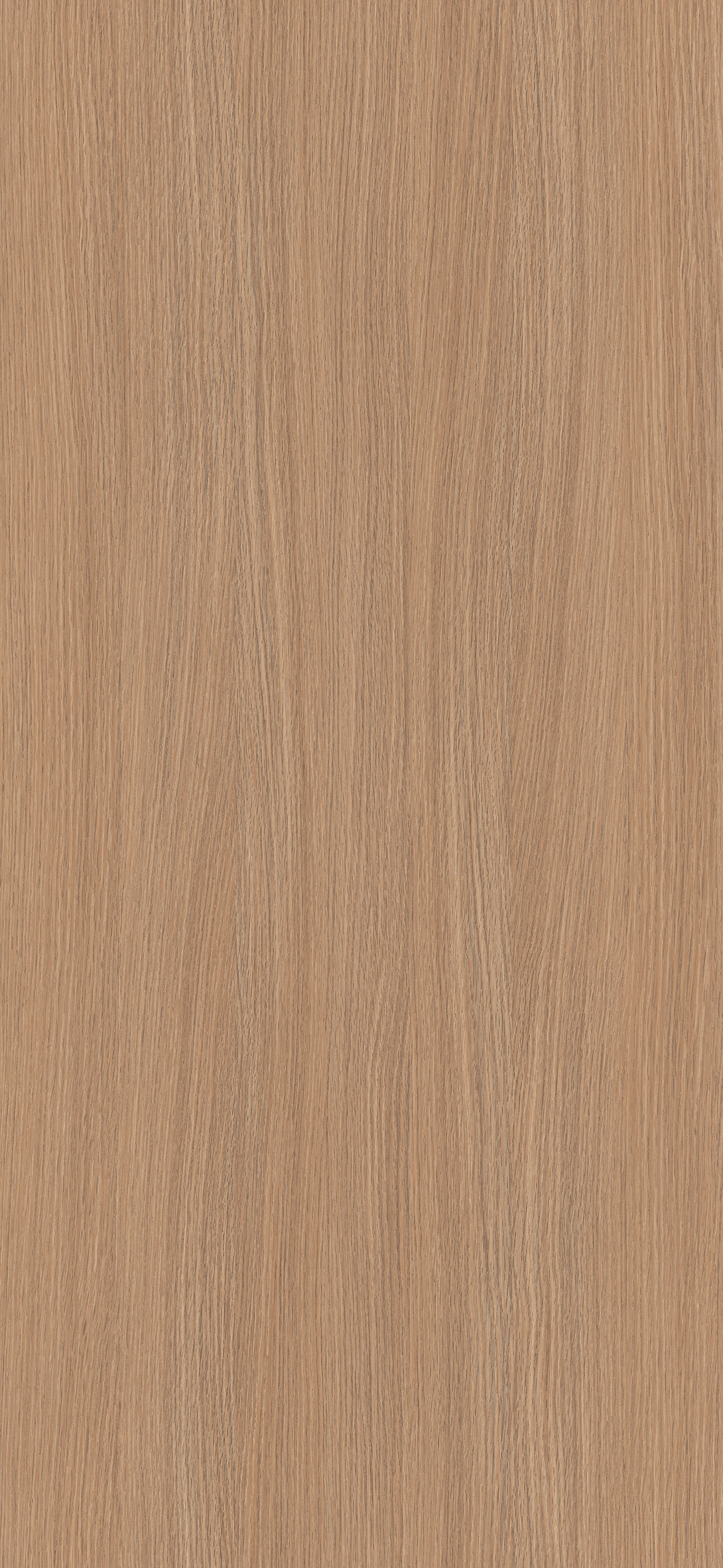 Alvic - kolecja Syncron